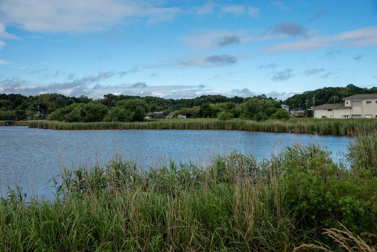 霞ヶ浦のスーパーロコが語る東浦の特徴と攻略のヒント（Basser2022年8月号／オカッパリオールスター座談会より）